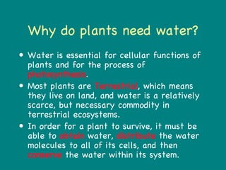 Plants and Water: The Evolutionary Model | PPT
