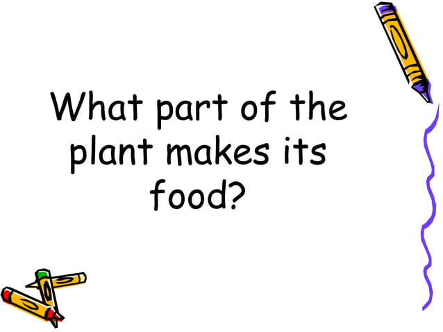 2nd Grade- Plants | PPT | Gardening | Home & Garden