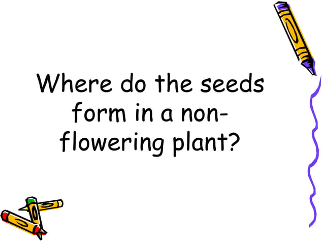 2nd Grade- Plants | PPT | Gardening | Home & Garden