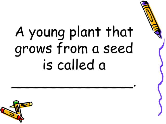 2nd Grade- Plants | PPT | Gardening | Home & Garden