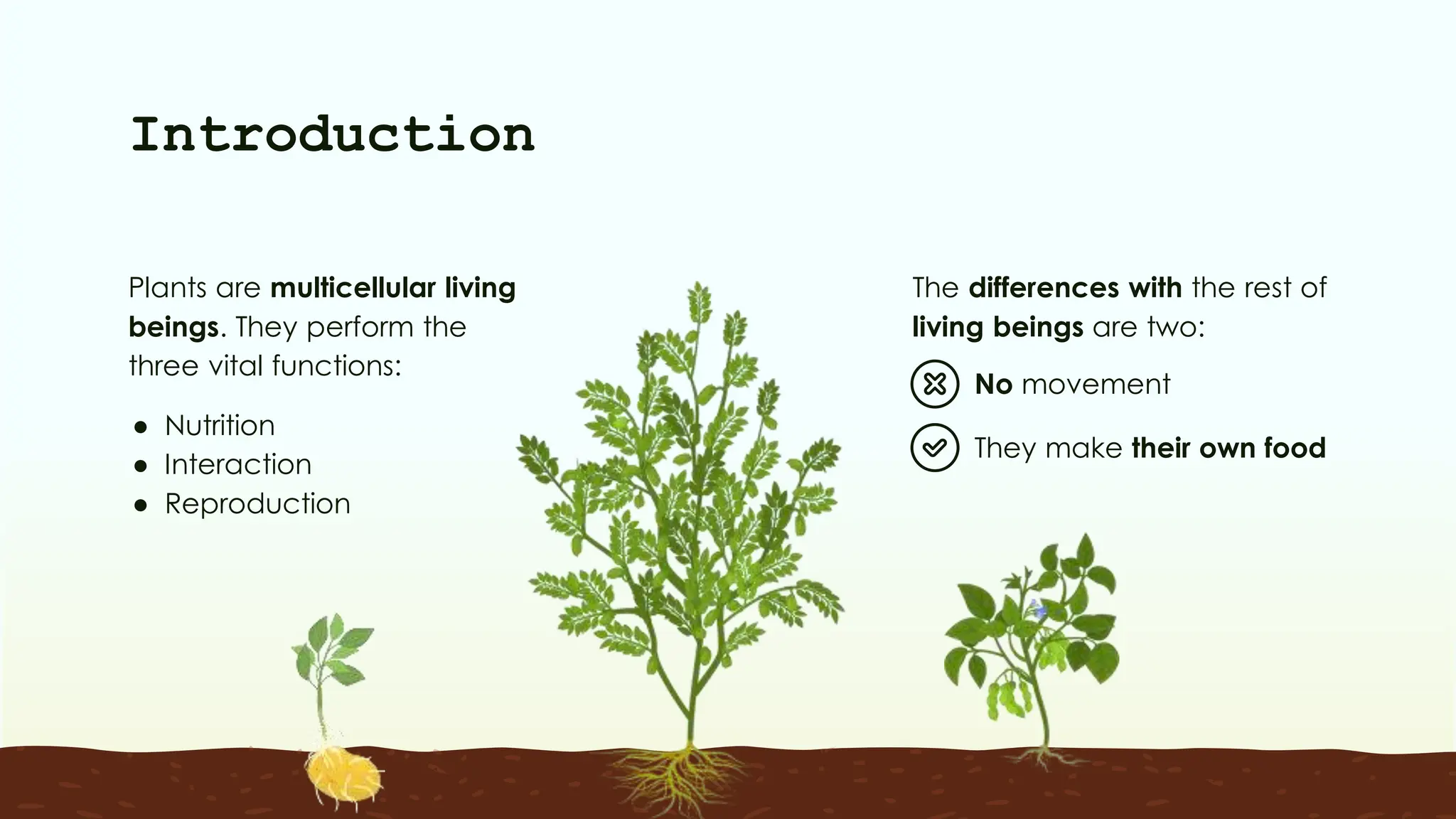 plants-nutrition-photosynthesis-and-respiration.pdf