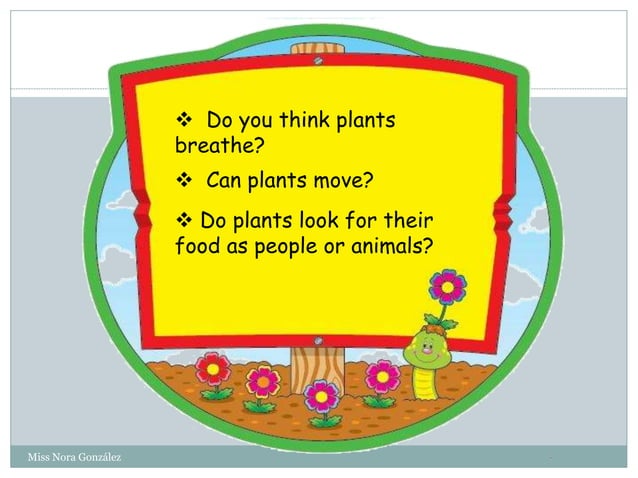 Parts of the plants and needs for kids | PPSX
