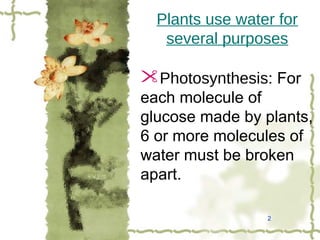 Plants water&soil | PPT