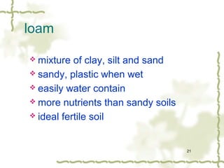 Plants water&soil | PPT