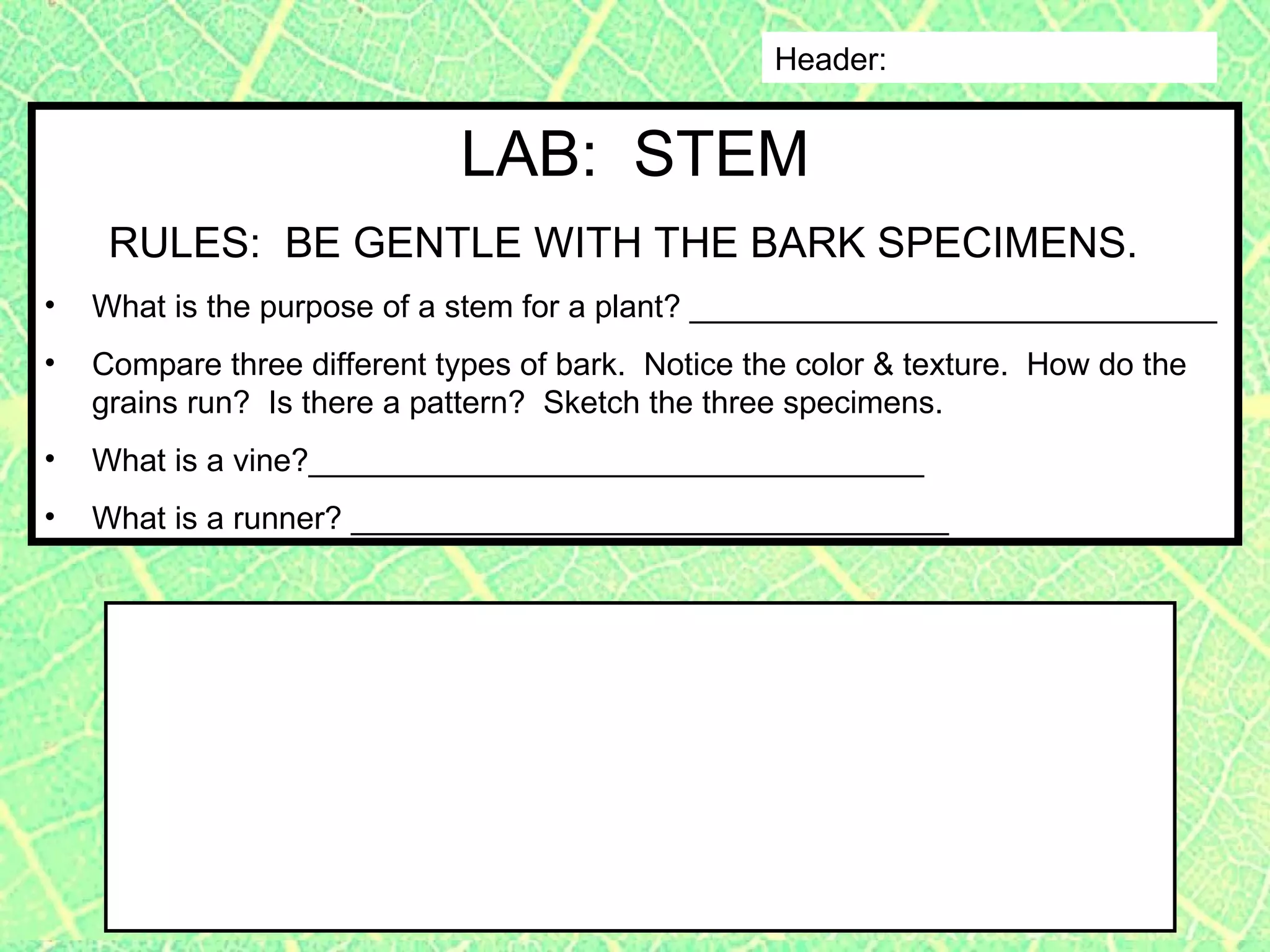NEW STANDARDS 6th grade Plants1: classification & processes | PPT