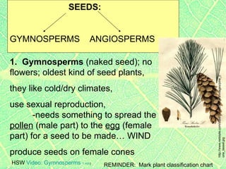 NEW STANDARDS 6th grade Plants1: classification & processes | PPT