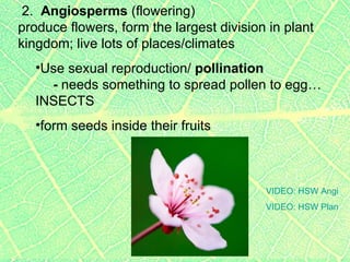 NEW STANDARDS 6th grade Plants1: classification & processes | PPT