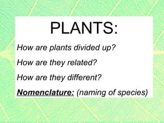 NEW STANDARDS 6th grade Plants1: classification & processes | PPT