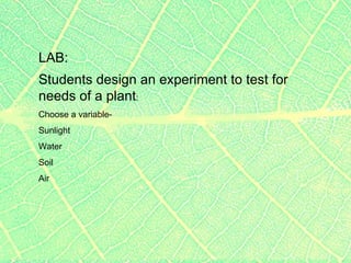 NEW STANDARDS 6th grade Plants1: classification & processes | PPT