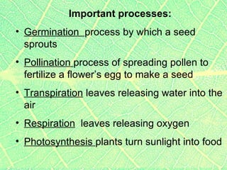NEW STANDARDS 6th grade Plants1: classification & processes | PPT
