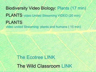 NEW STANDARDS 6th grade Plants1: classification & processes | PPT