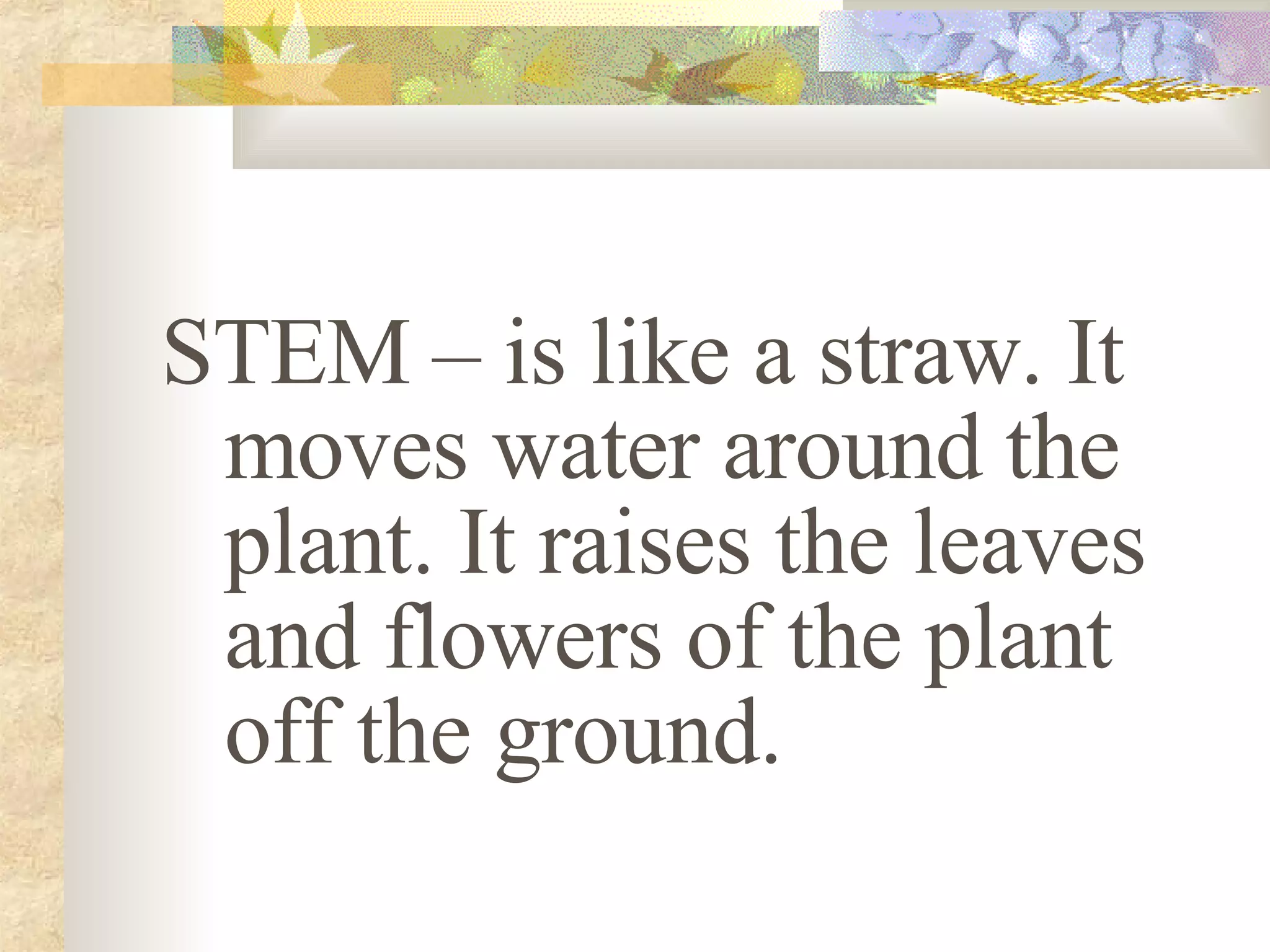 Plants year 6 ks2 | PPT