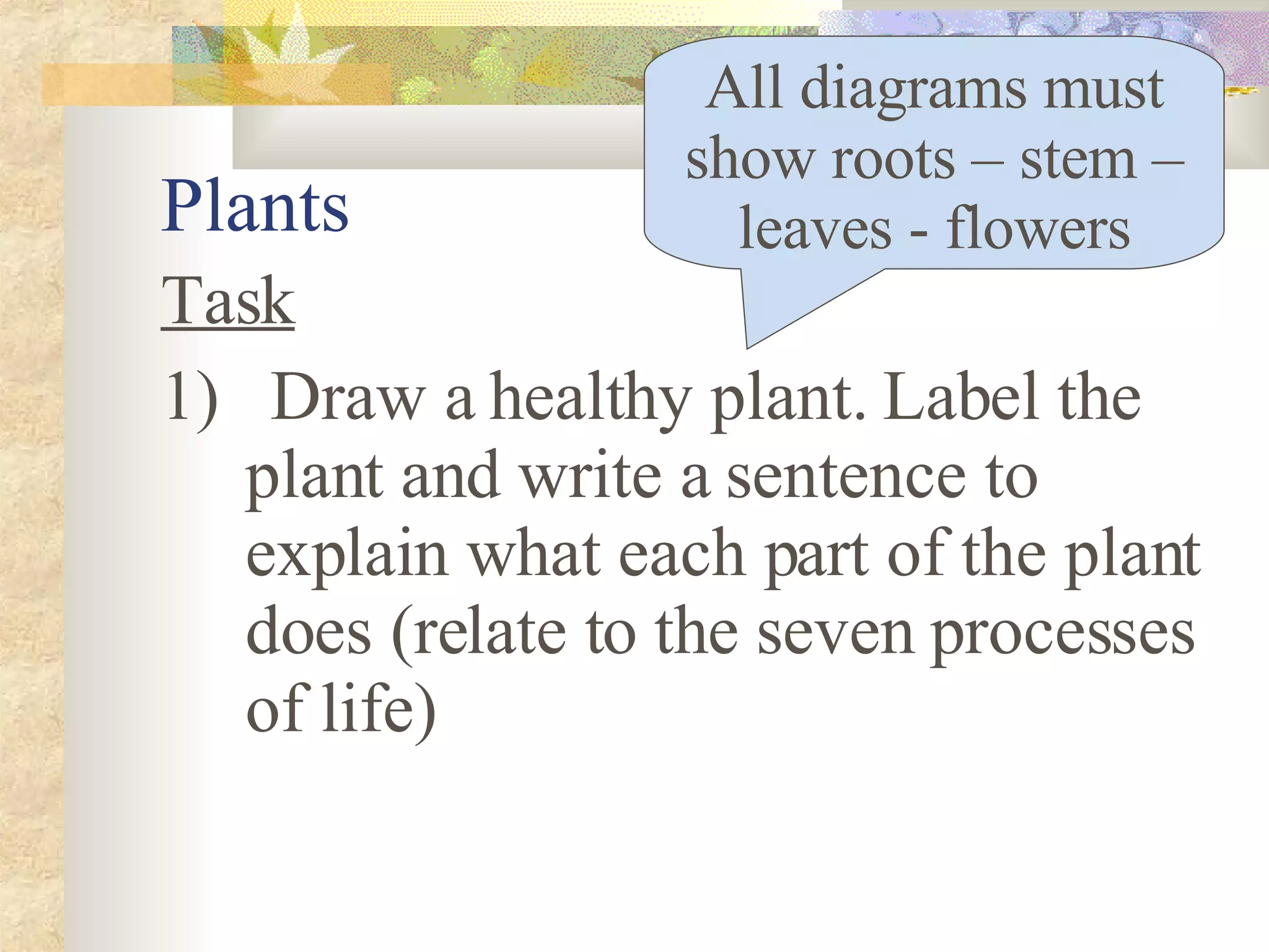 Plants year 6 ks2 | PPT