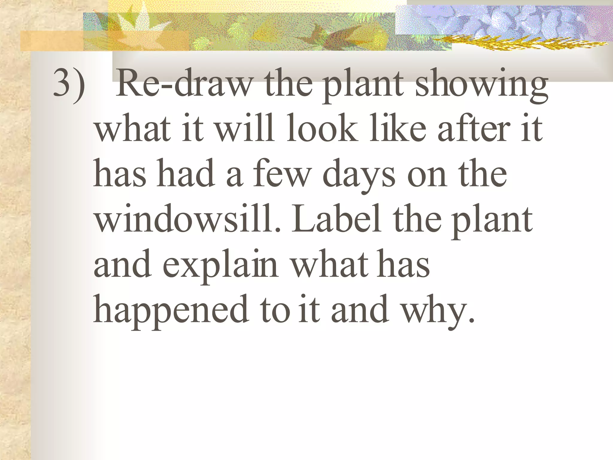 Plants year 6 ks2 | PPT