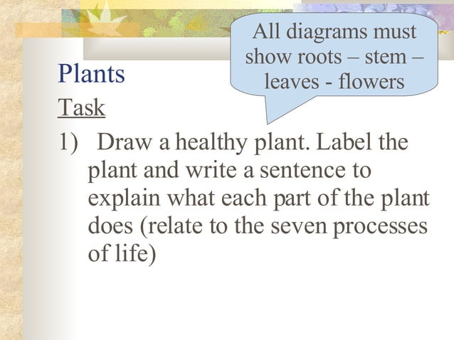 Plants year 6 ks2 | PPT