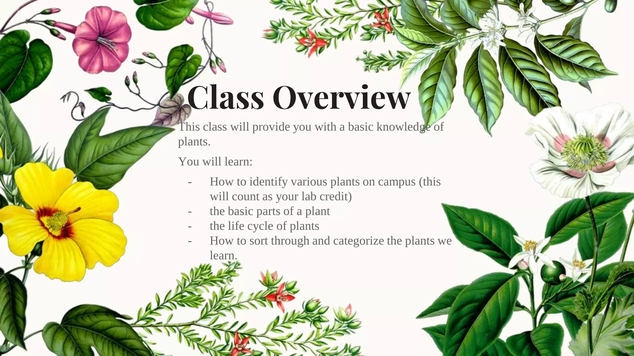 Plants 101 lesson plan | PPT