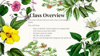 Plants 101 lesson plan | PPT