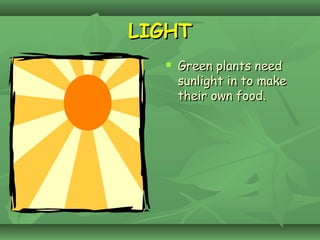 Plants(2) | PPT