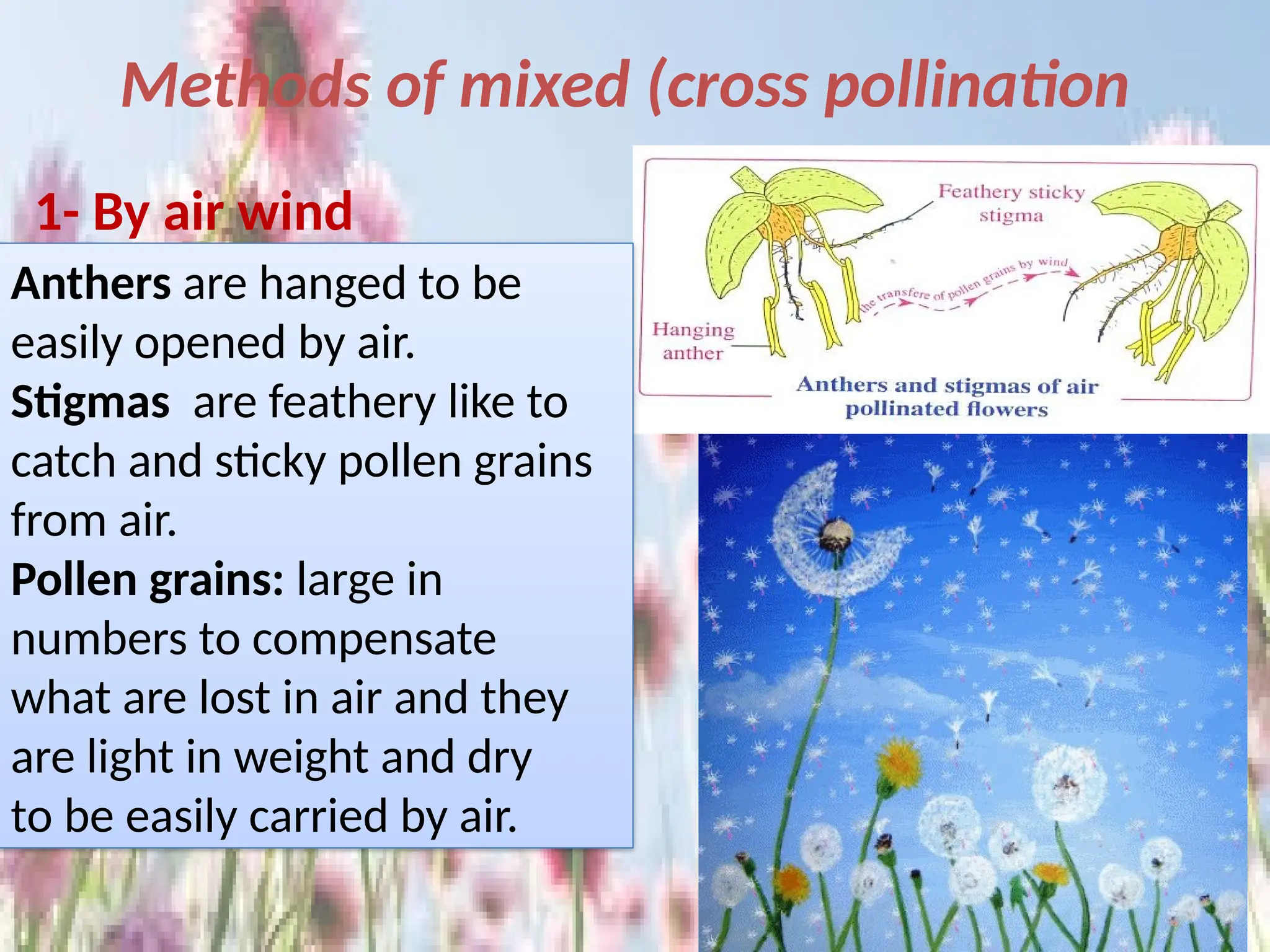 second term (prep two) reproduction in plants | PPTX