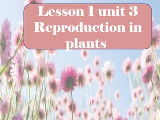 second term (prep two) reproduction in plants | PPTX