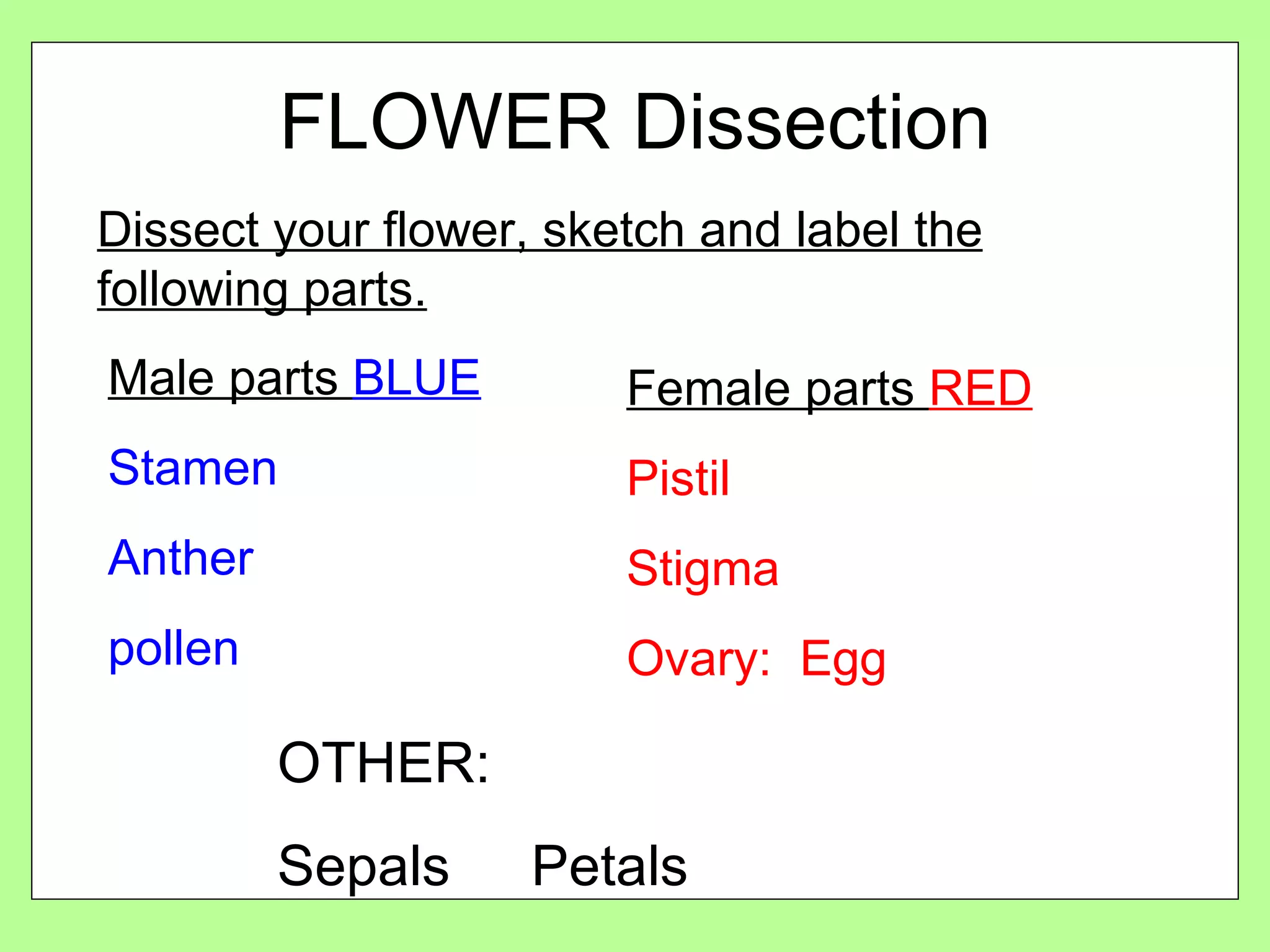 Plants2 plant parts flowers: pollination, angiosperms, gymnosperms ...