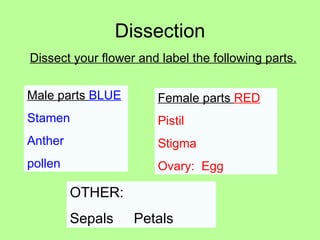 Plants2 plant parts flowers: pollination, angiosperms, gymnosperms ...