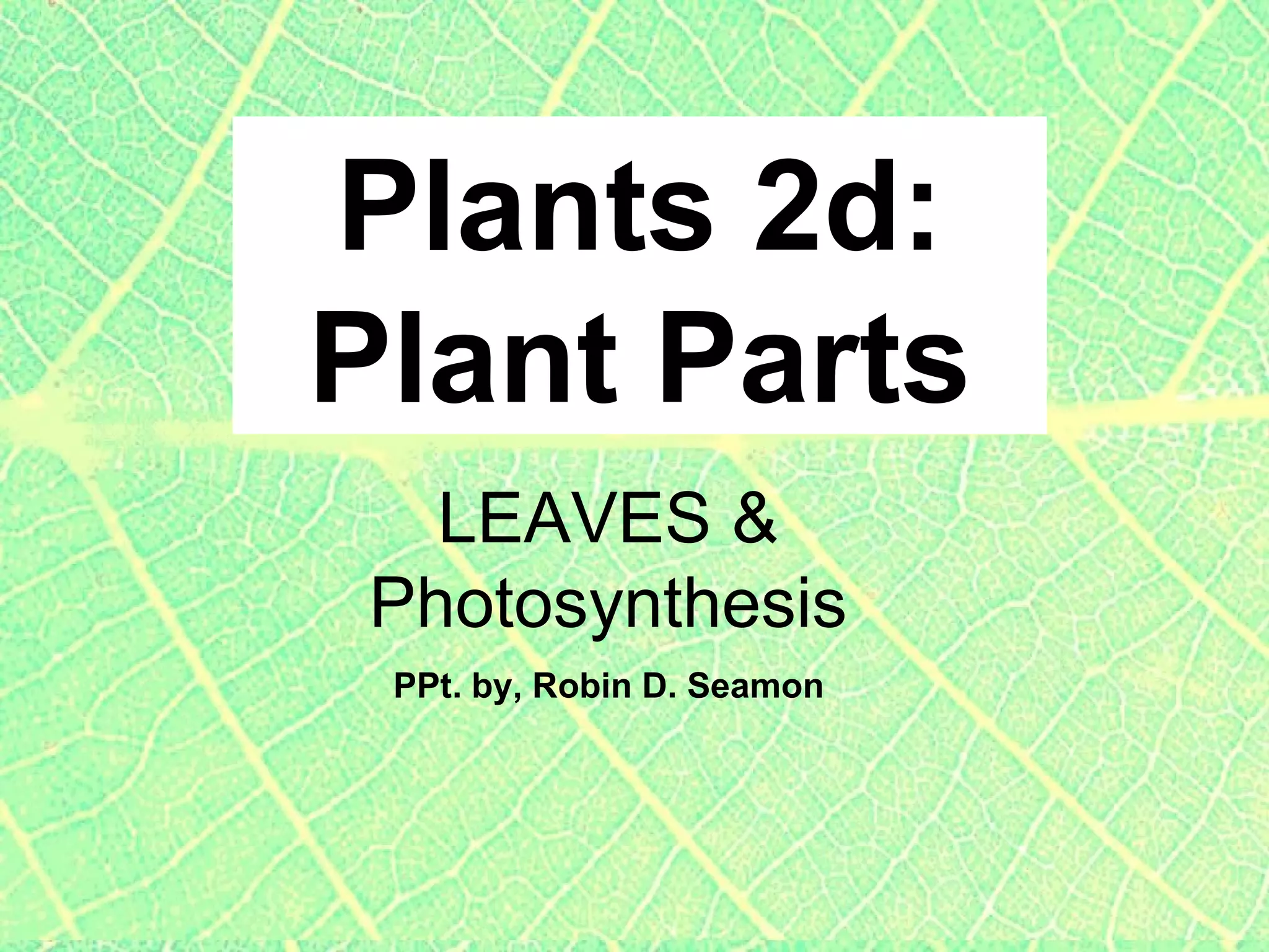 Plants2 plant parts leaves; photosynthesis, stomata respiration ...