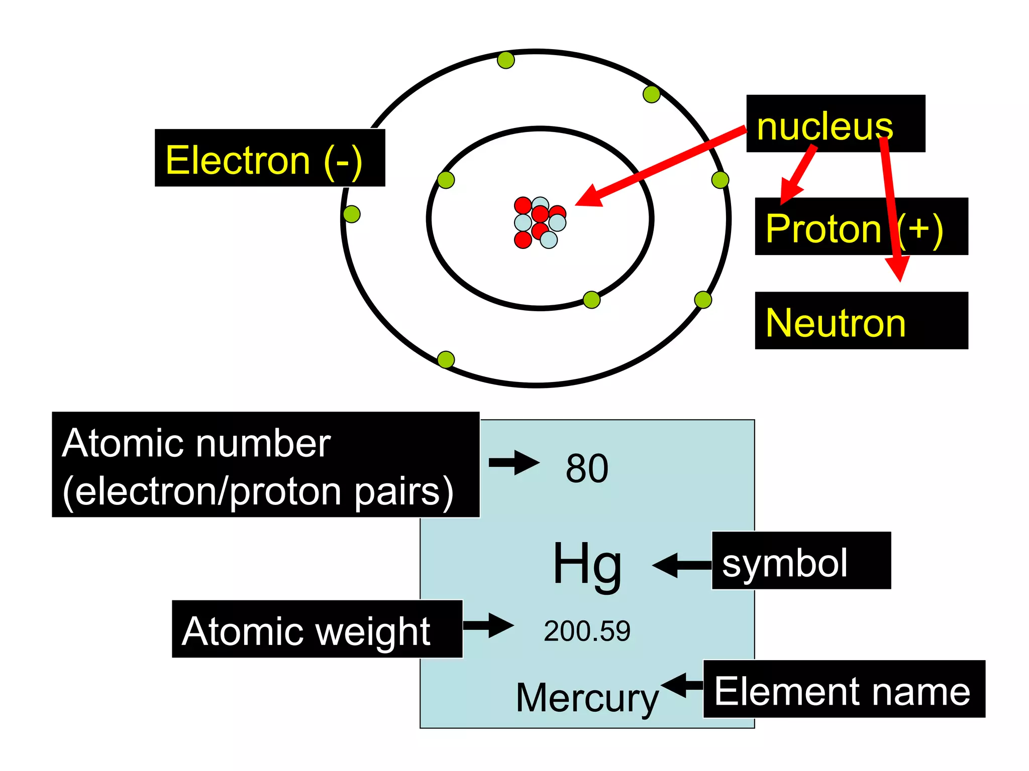 Plants2 plant parts leaves; photosynthesis, stomata respiration ...
