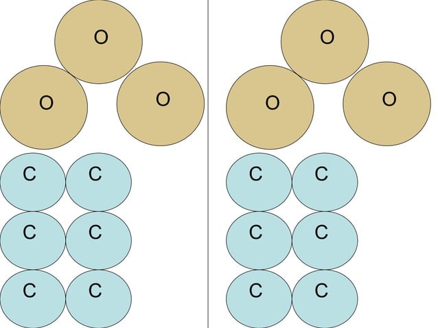 Plants2 plant parts leaves; photosynthesis, stomata respiration ...