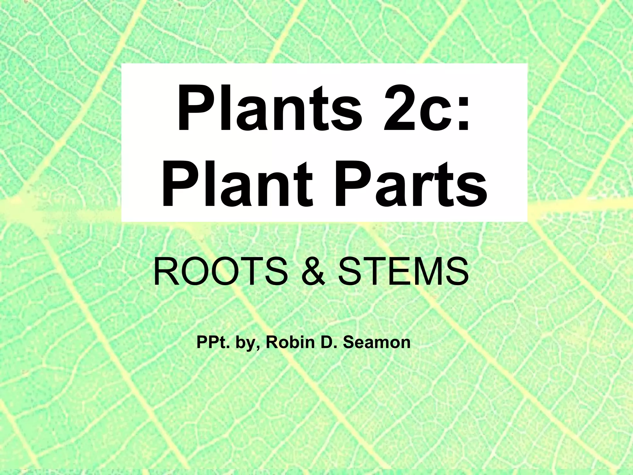 Plants2 plant parts roots & stems, specialized roots, tropisms ...