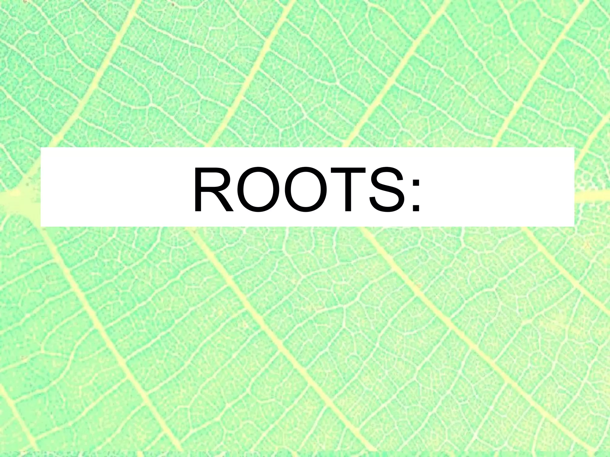 Plants2 plant parts roots & stems, specialized roots, tropisms ...