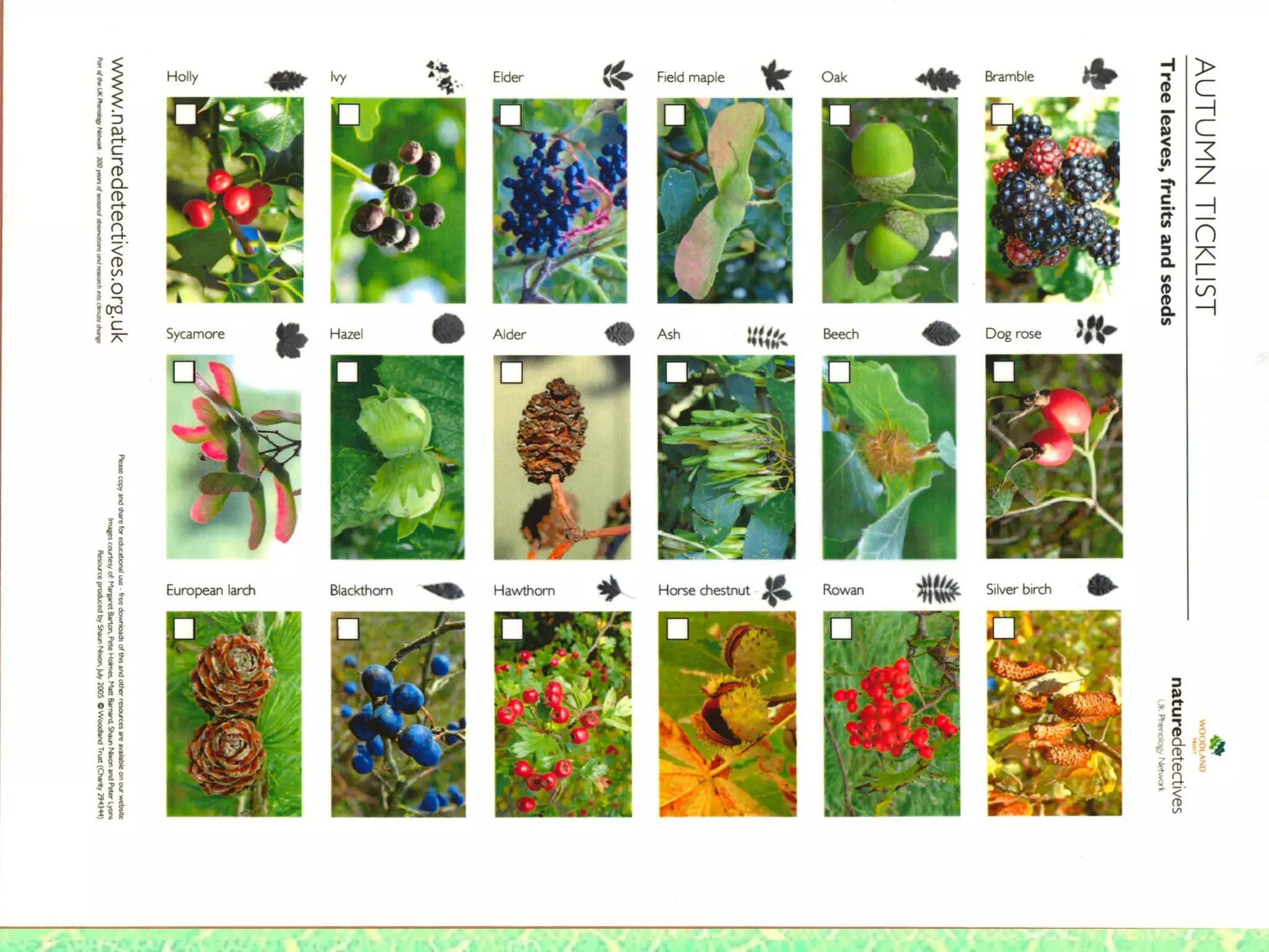 Plants2 plant parts seeds: germination, cotyledons, tropisms, includes ...