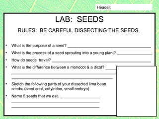 Plants2 plant parts seeds: germination, cotyledons, tropisms, includes ...