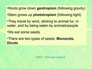 Plants2 plant parts seeds: germination, cotyledons, tropisms, includes ...
