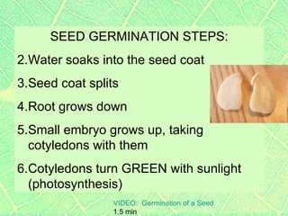 Plants2 plant parts seeds: germination, cotyledons, tropisms, includes ...