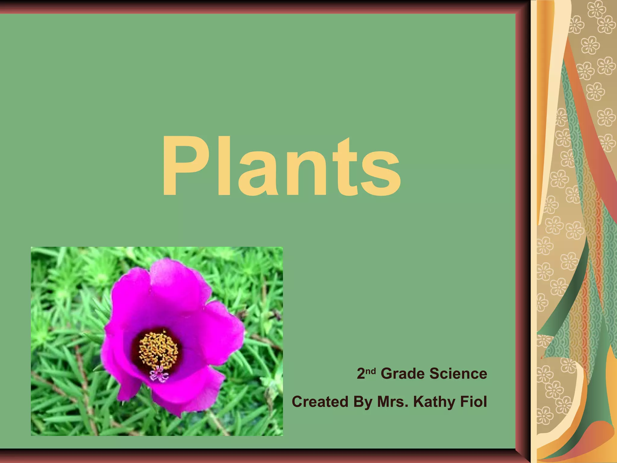 Second Grade Science: Plants | PPT