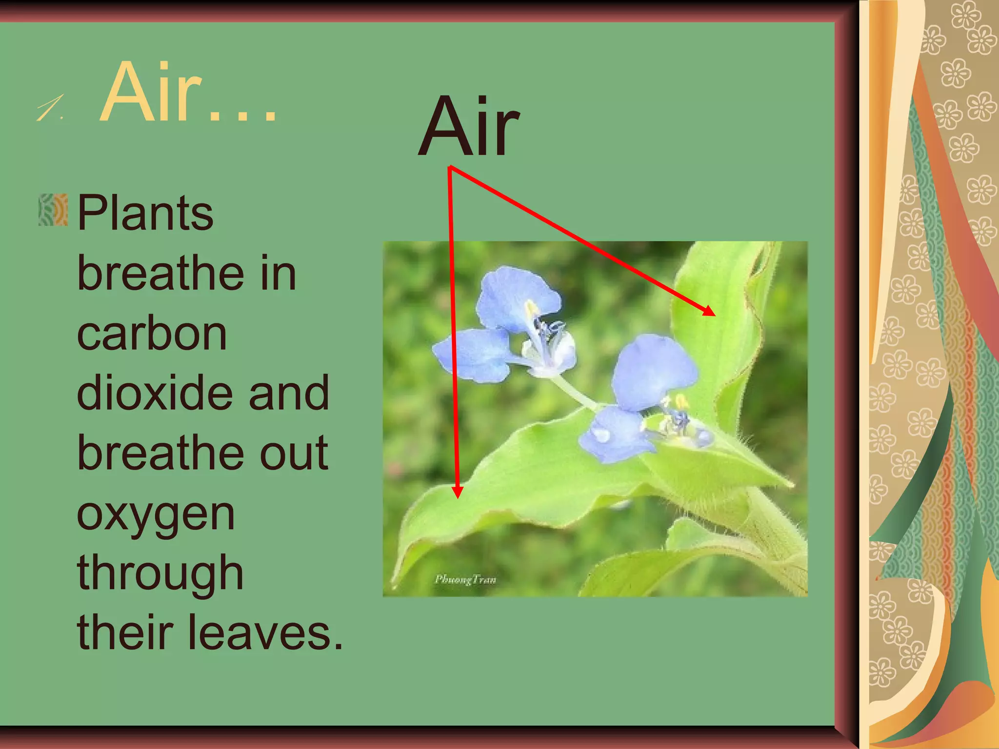 Second Grade Science: Plants | PPT