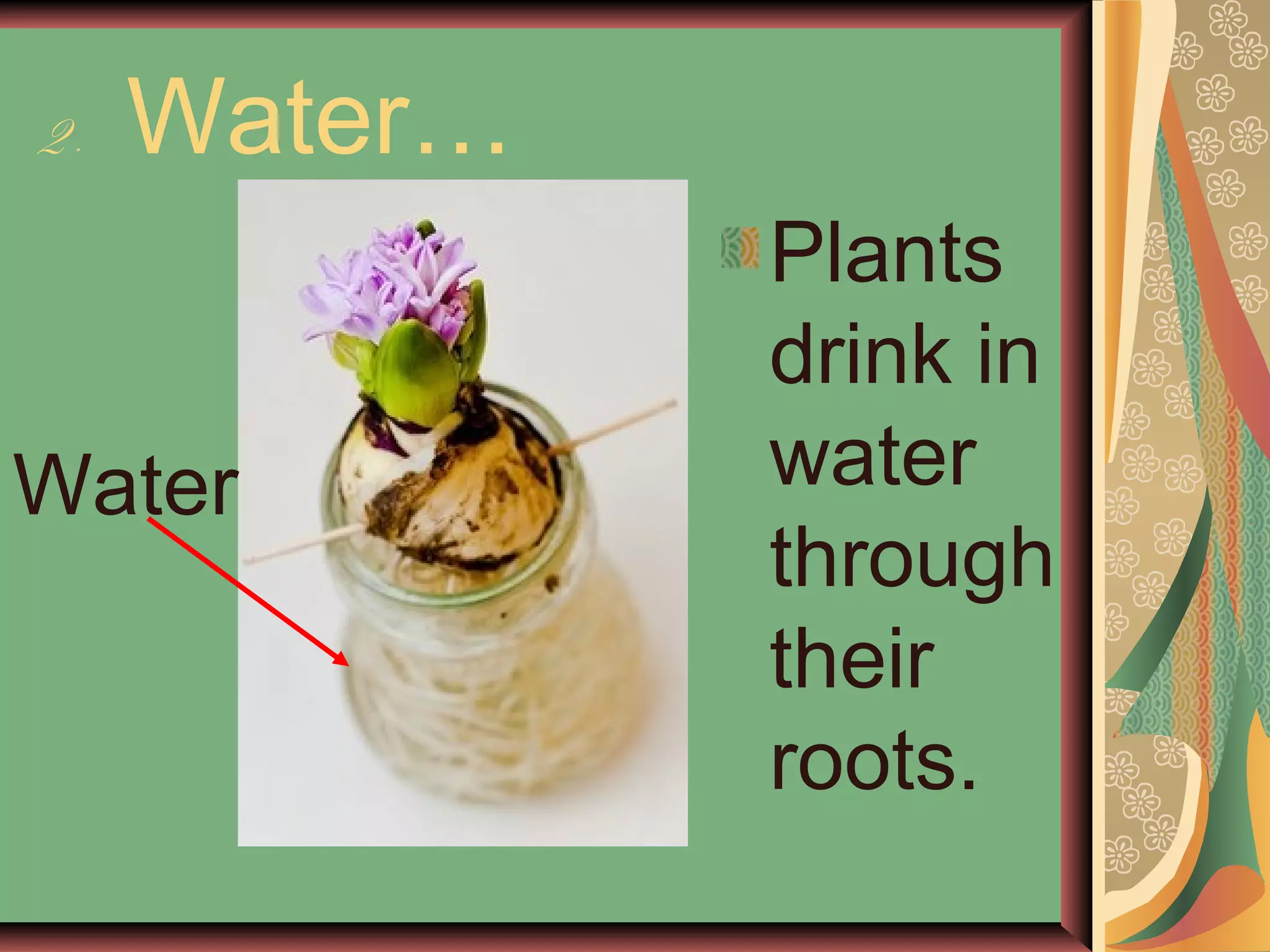 Second Grade Science: Plants | PPT