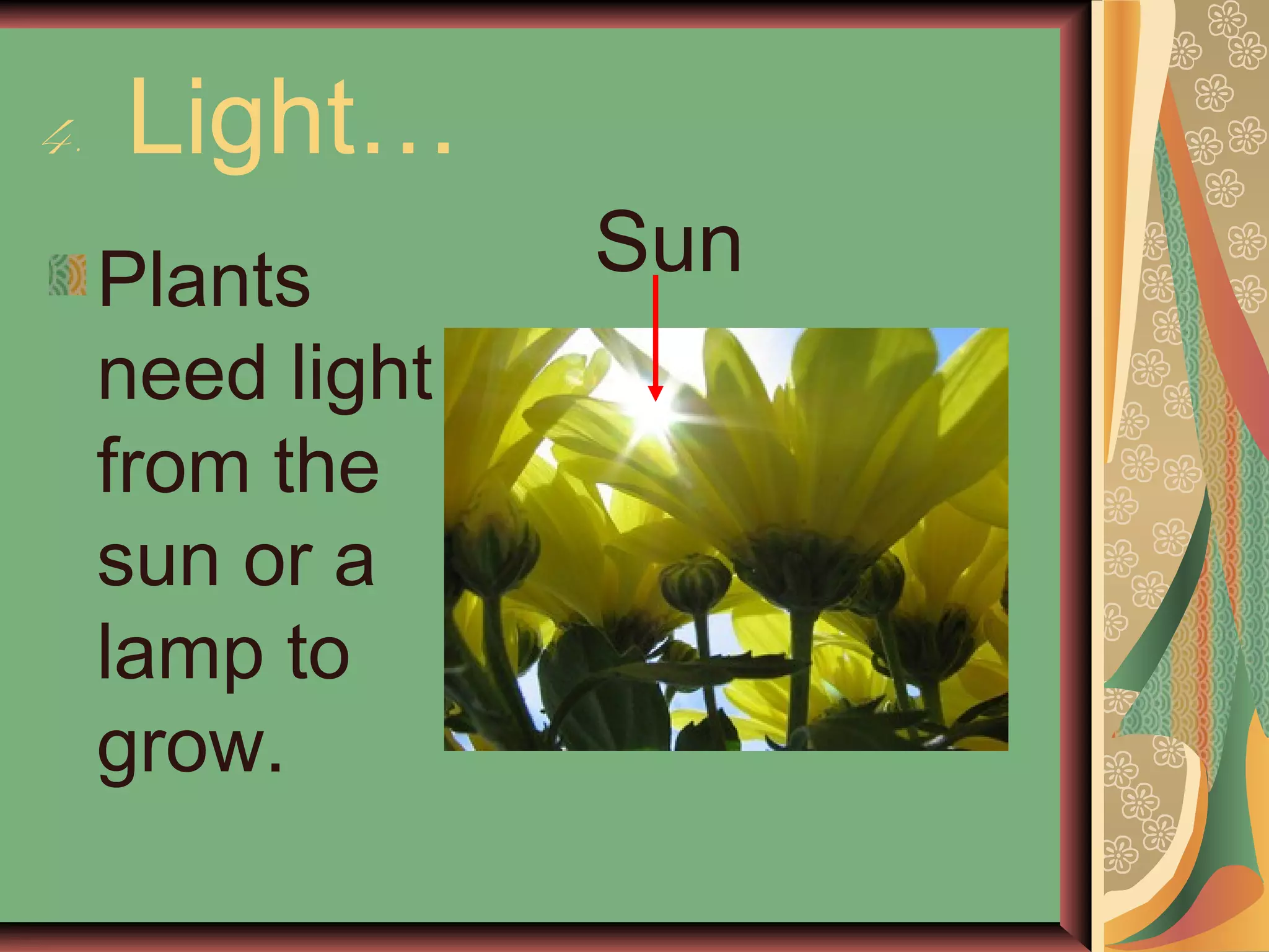 Second Grade Science: Plants | PPT
