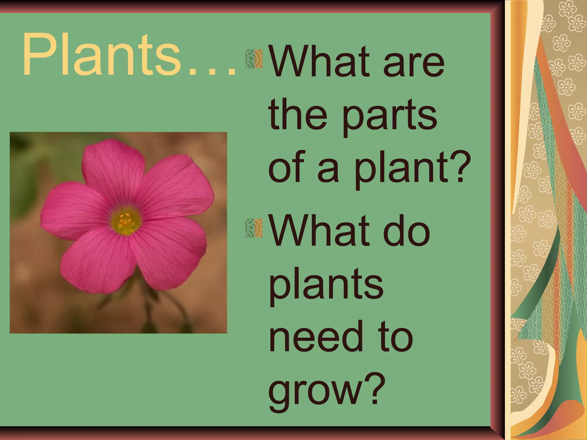 Second Grade Science: Plants | PPT