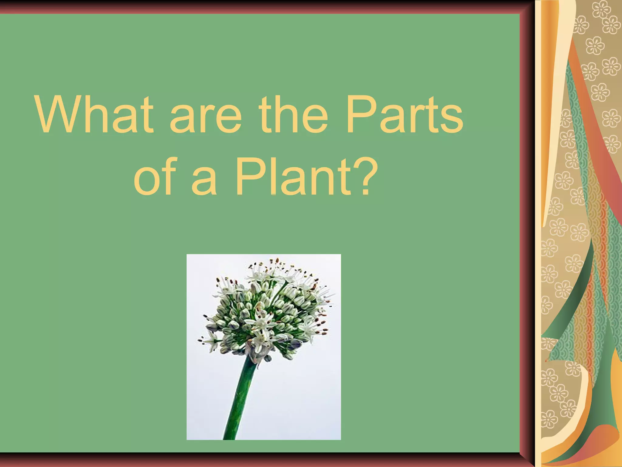 Second Grade Science: Plants | PPT