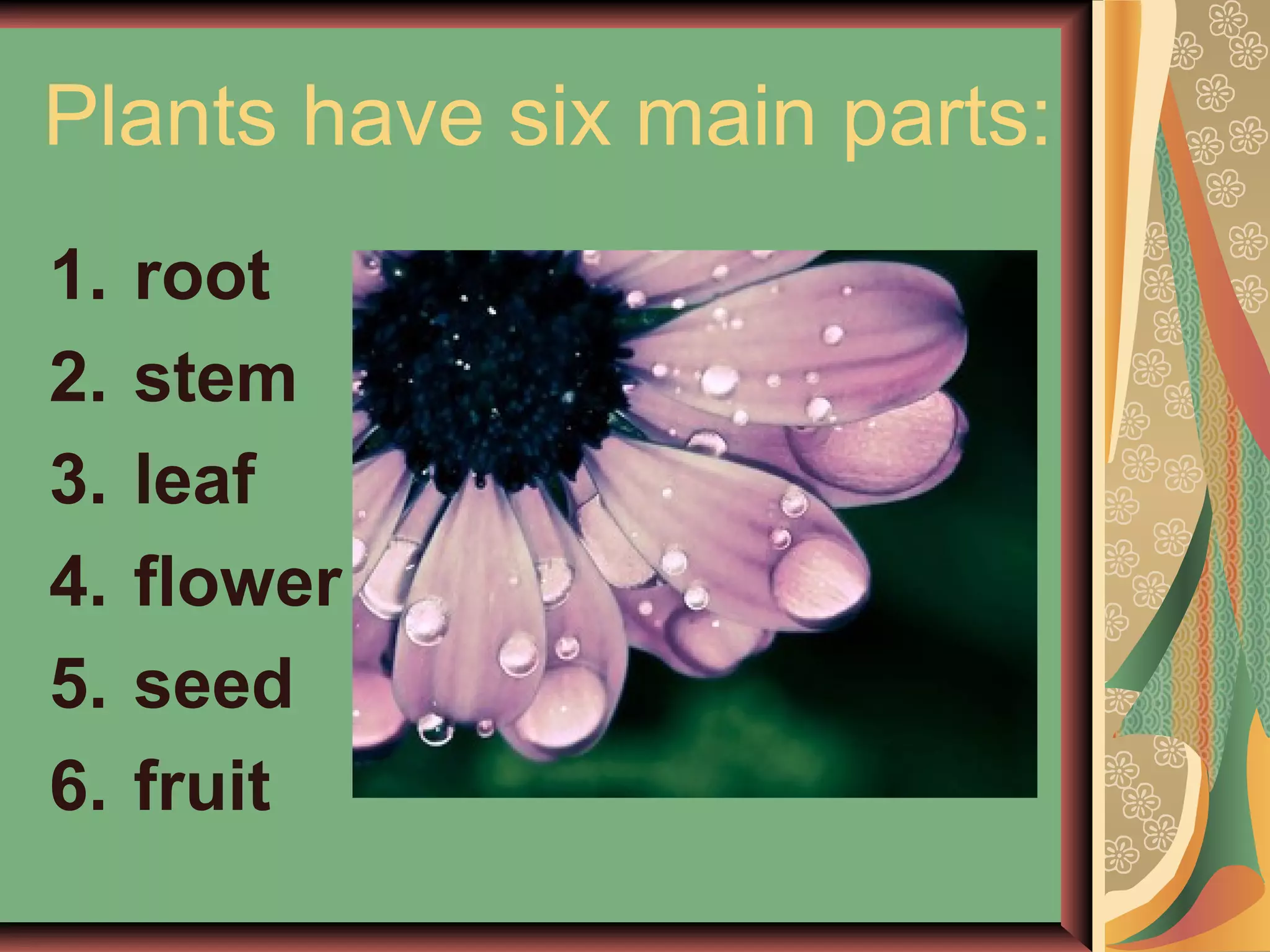 Second Grade Science: Plants | PPT