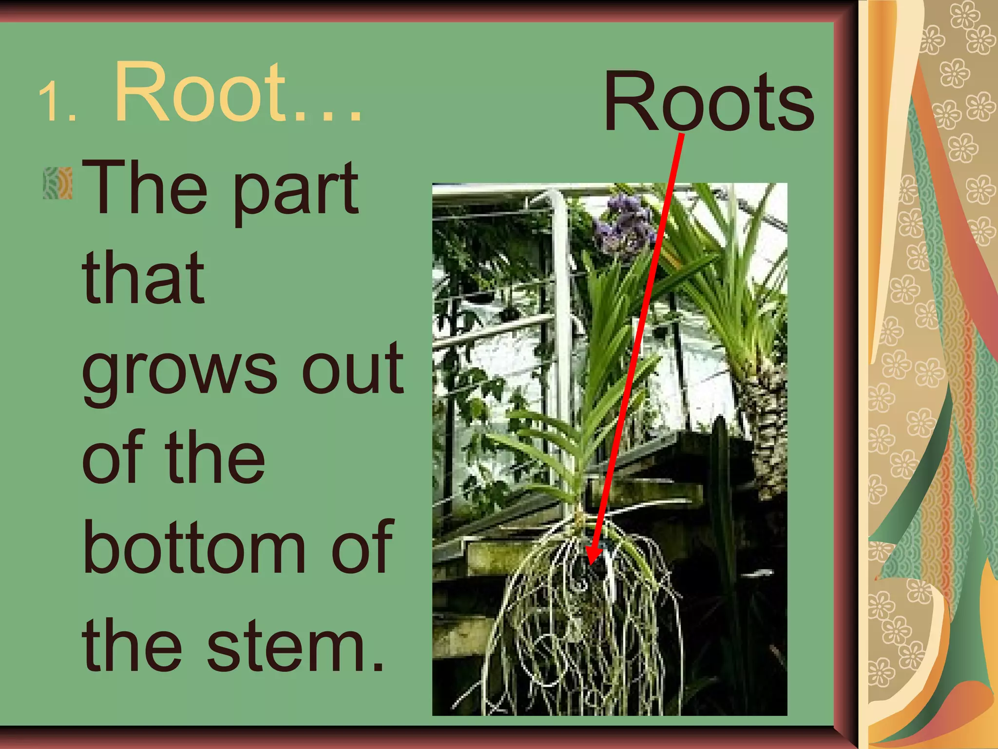 Second Grade Science: Plants | PPT