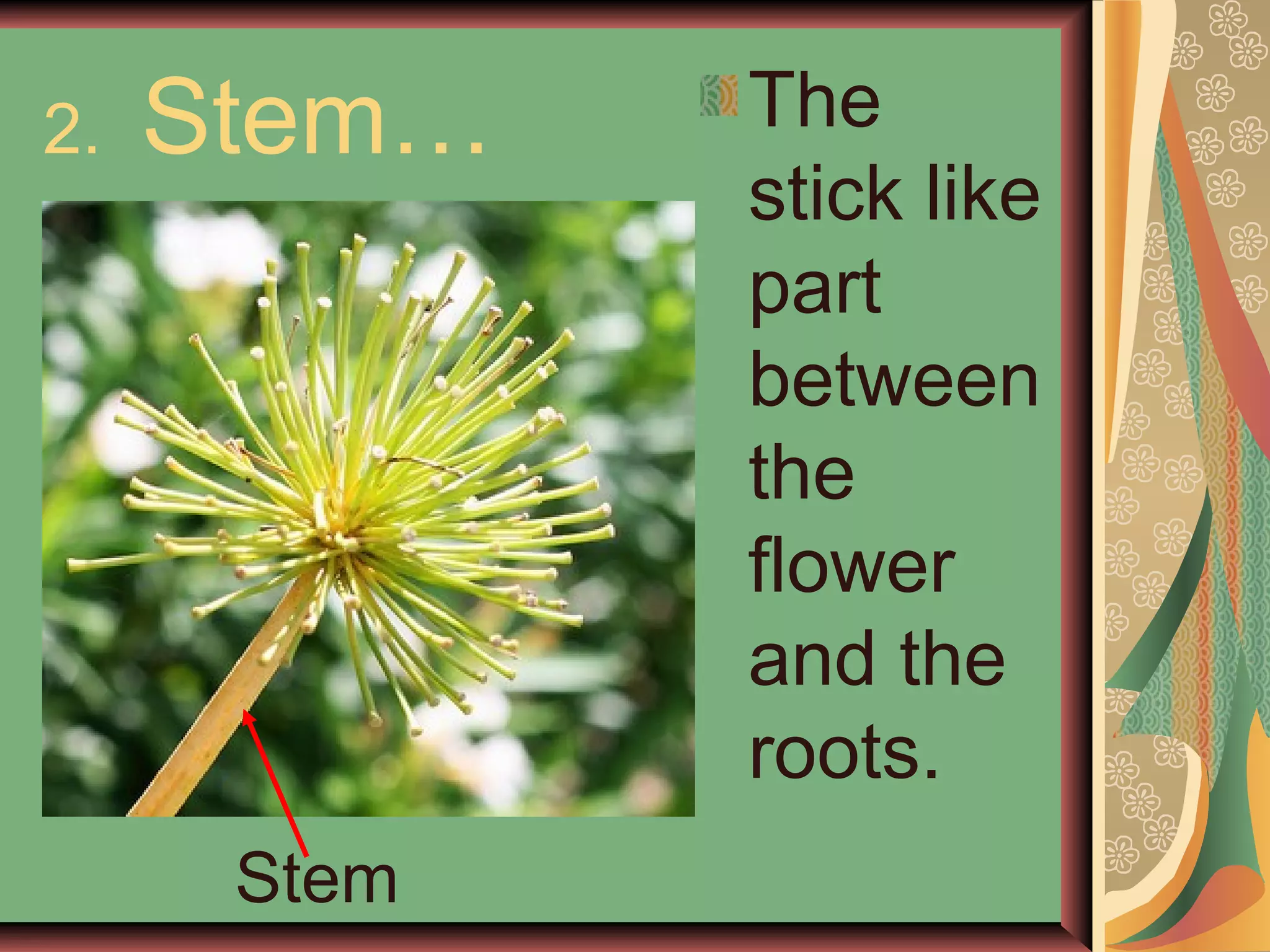 Second Grade Science: Plants | PPT
