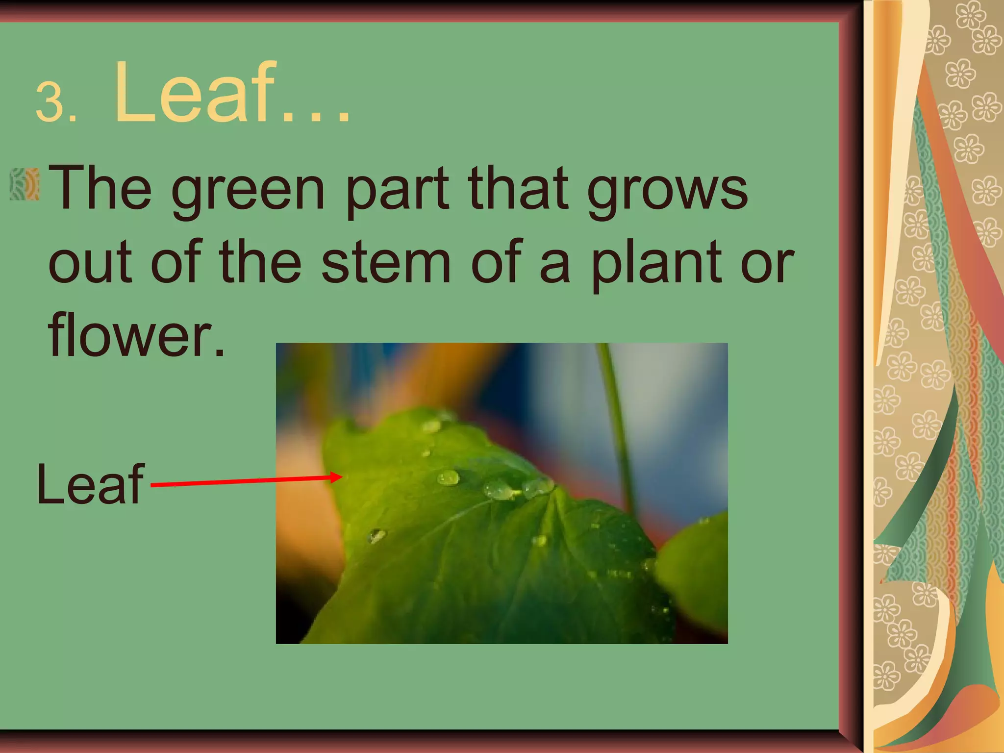 Second Grade Science: Plants | PPT
