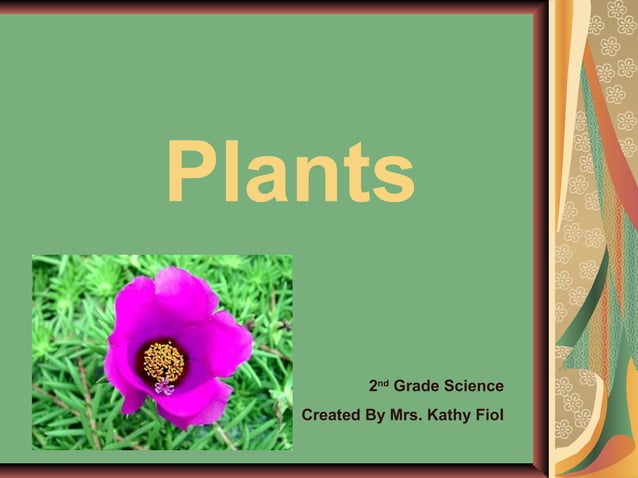 Second Grade Science: Plants | PPT