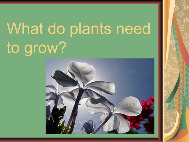 Second Grade Science: Plants | PPT