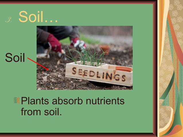 Second Grade Science: Plants | PPT