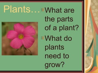 Second Grade Science: Plants | PPT