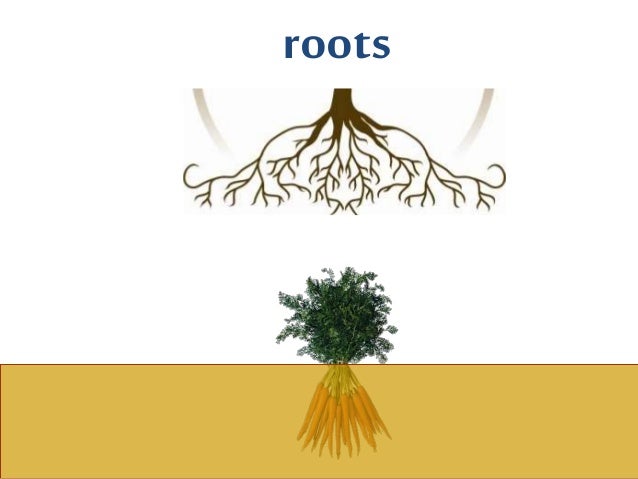 Plants we eat and we don't eat